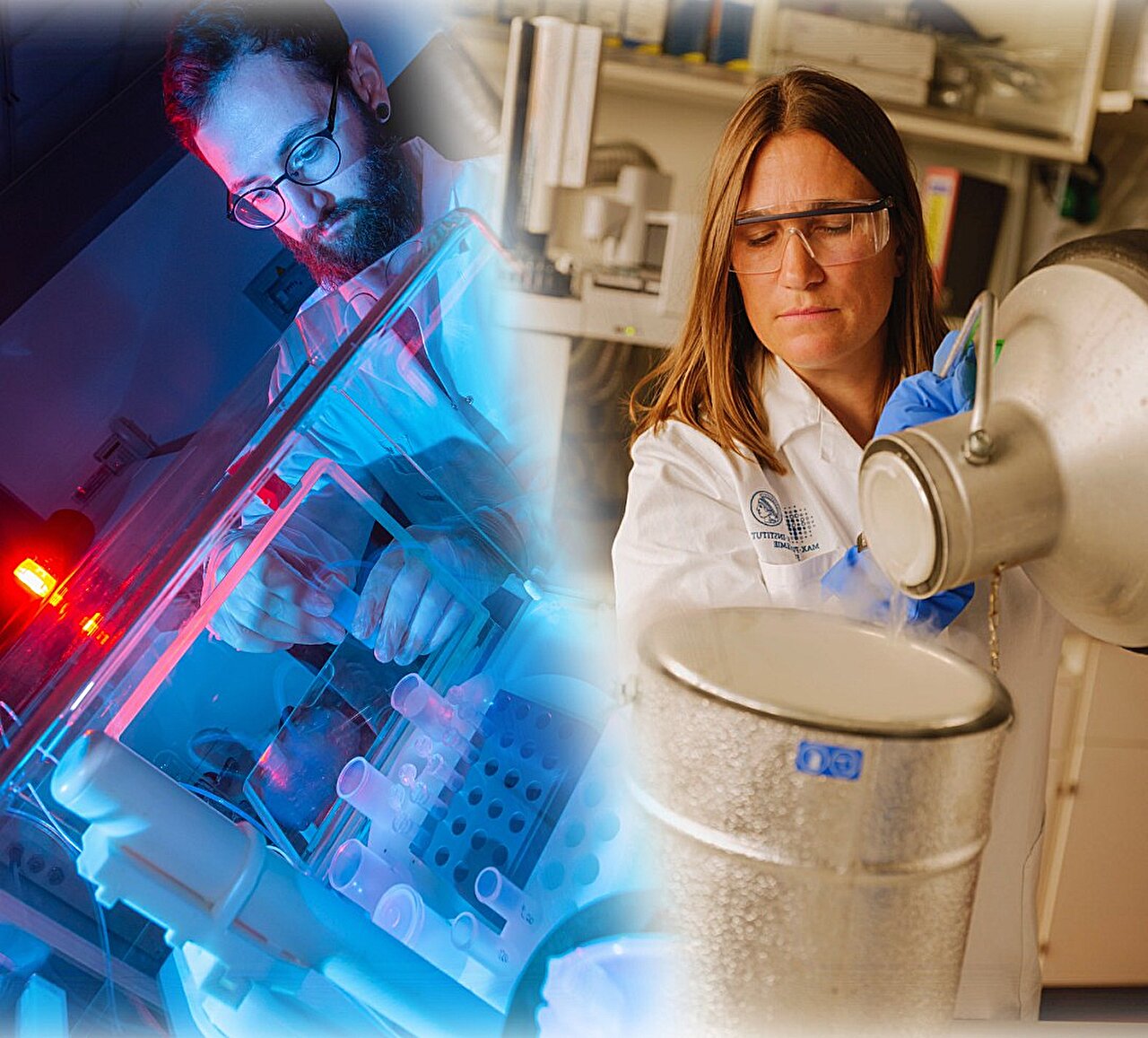 Ancient teeth reveal mammalian responses to climate change in Southeast ...