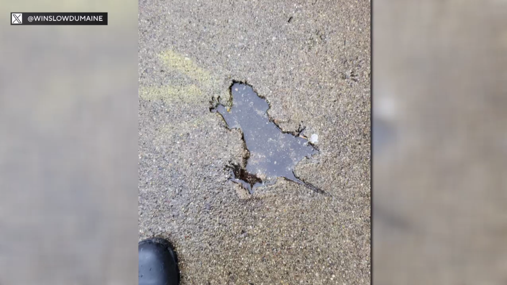 Chicago "rat hole" was probably actually made by squirrel, scientists say