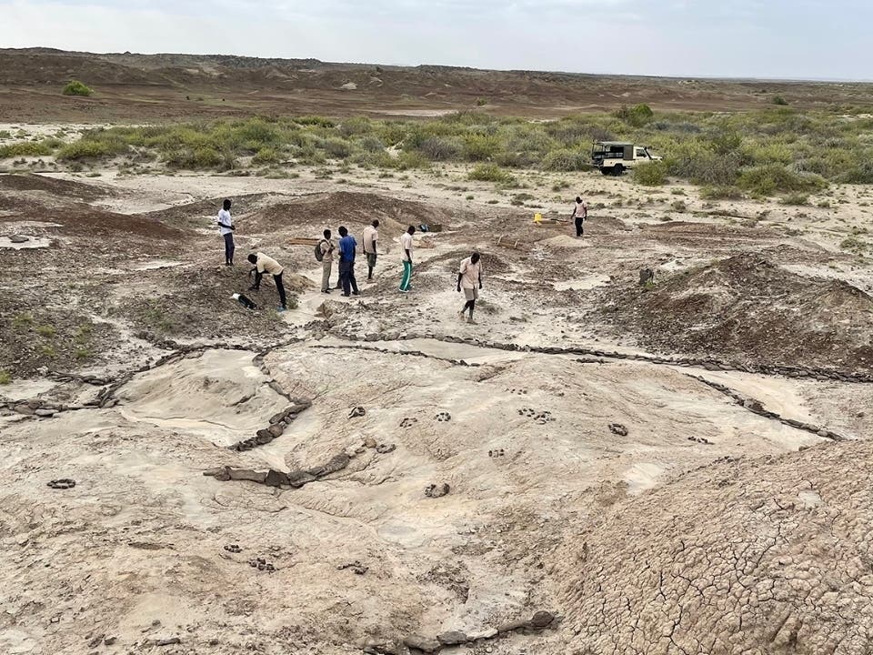 New Fossil Of Ancient Human Relative Shows 'Surprising' Dexterity ...