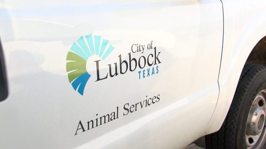 New year new rules: Lubbock’s updated dangerous dog ordinance now in effect
