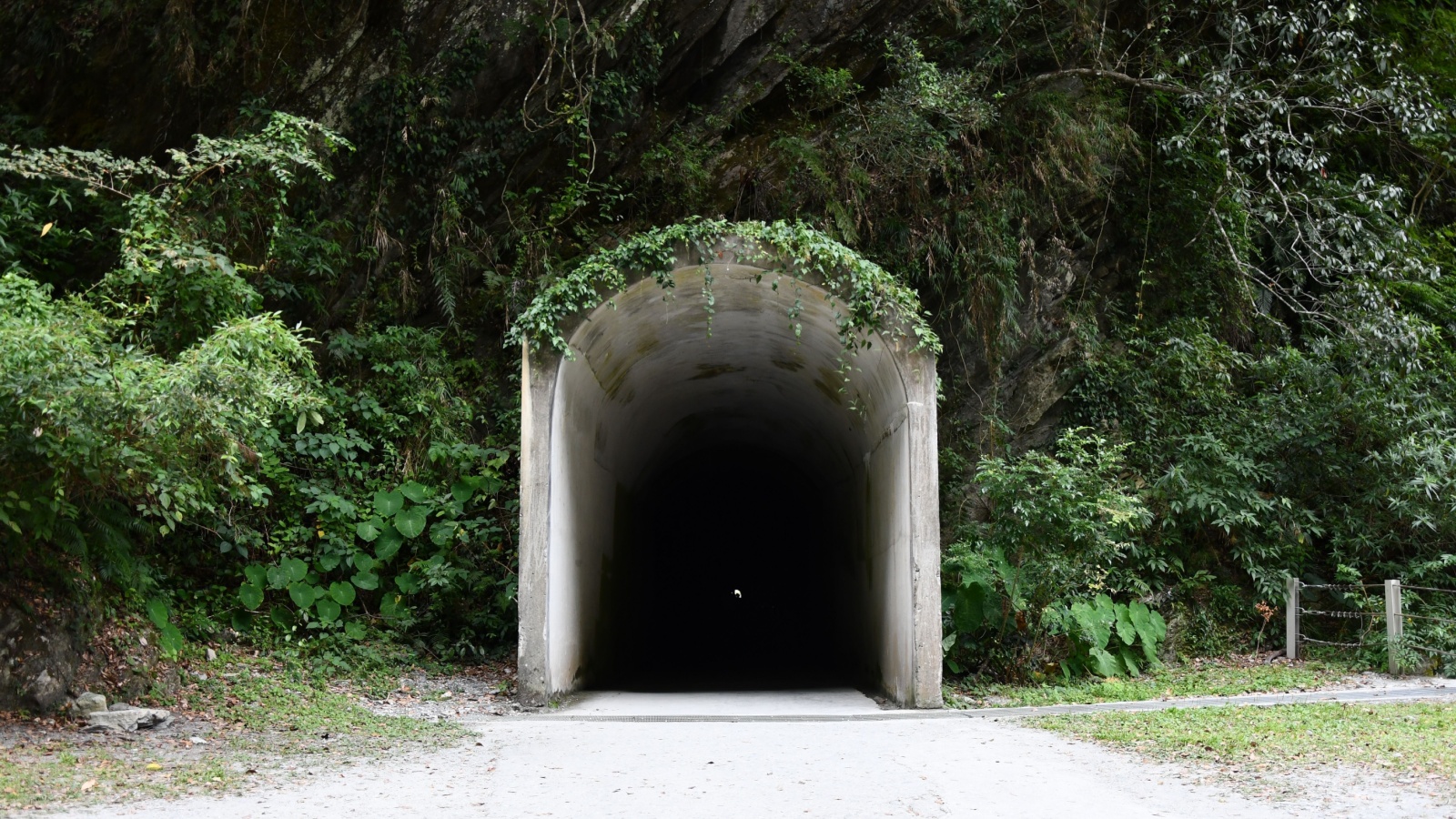 Hidden tunnels that tell the darker stories of America’s past