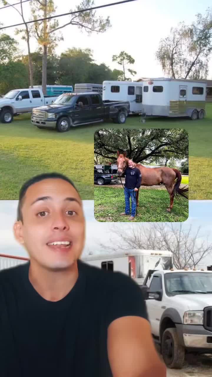 Horse Trailer 4 Rent and Horse Transportation: la historia de Simón A...