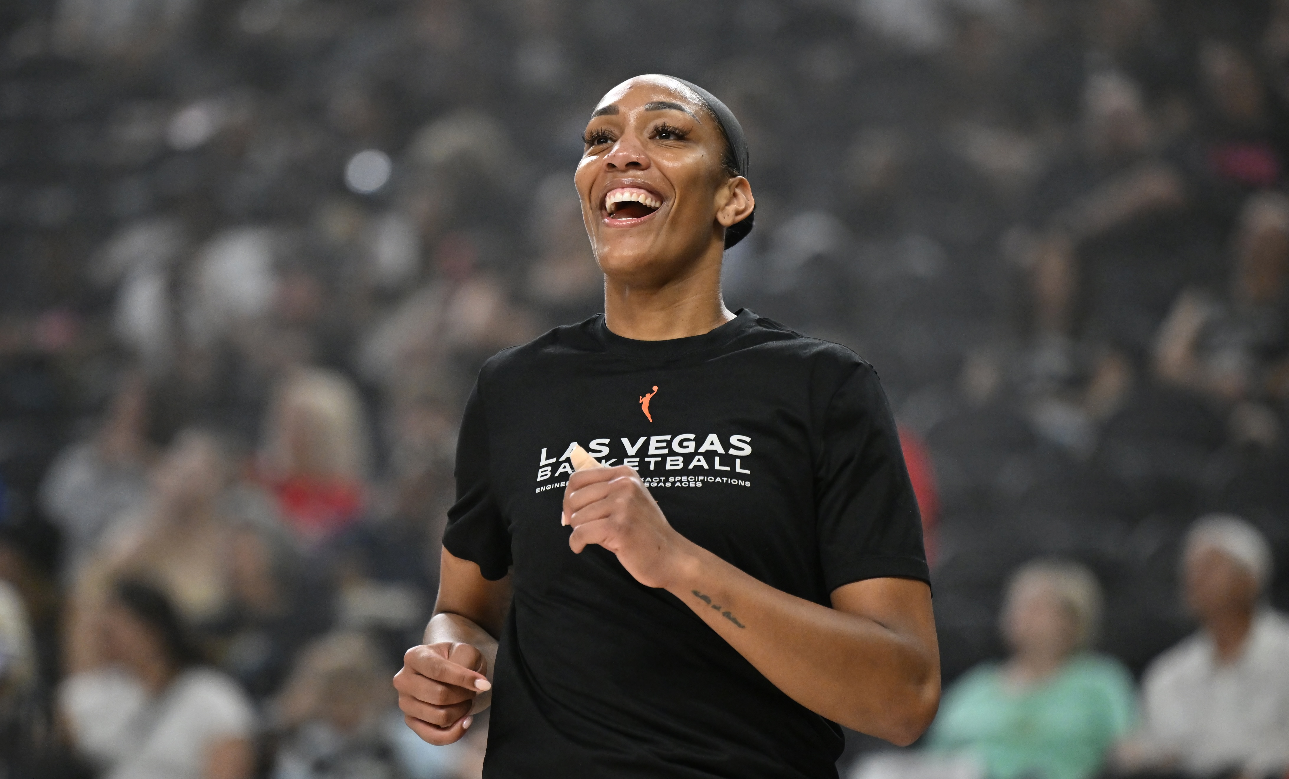 Meet the Stars of the WNBA After Their 2025 Season Finish