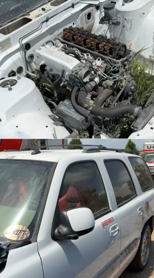 Decoding Chassis Codes: What Your Car’s Letters and Numbers Reveal