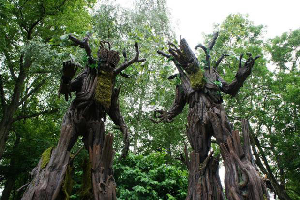 Giant tree creatures coming to York for special event