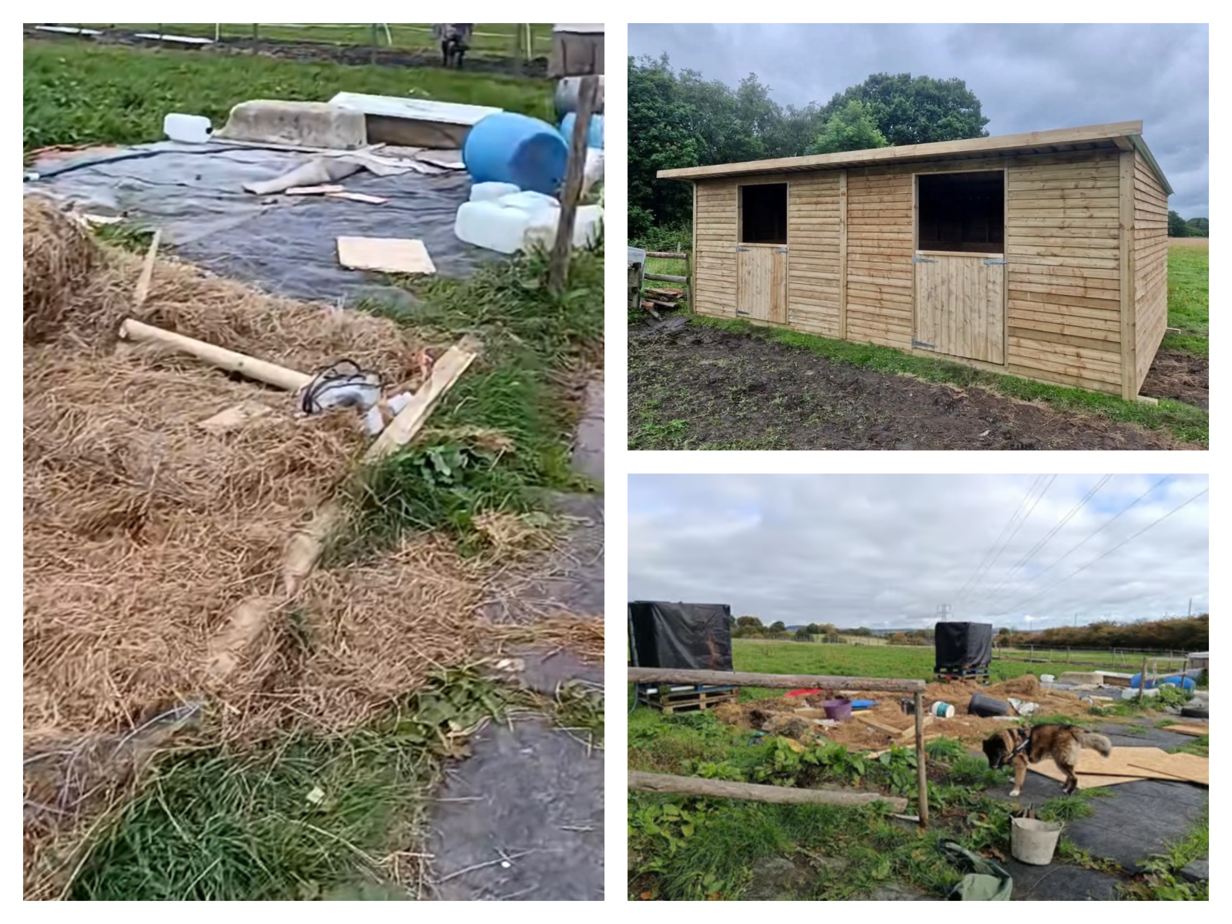 Leeds sisters 'absolutely devastated' after stables housing rescue ...