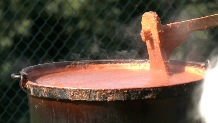 Sundale Nursing Home hosts its own Apple Butter Festival for its residents