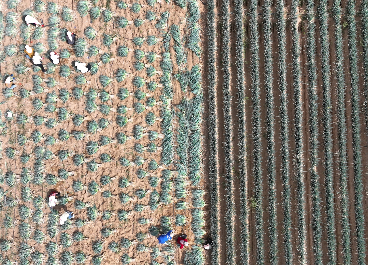 Prince Harry and Steve Bannon both support a ban on AI superintelligence