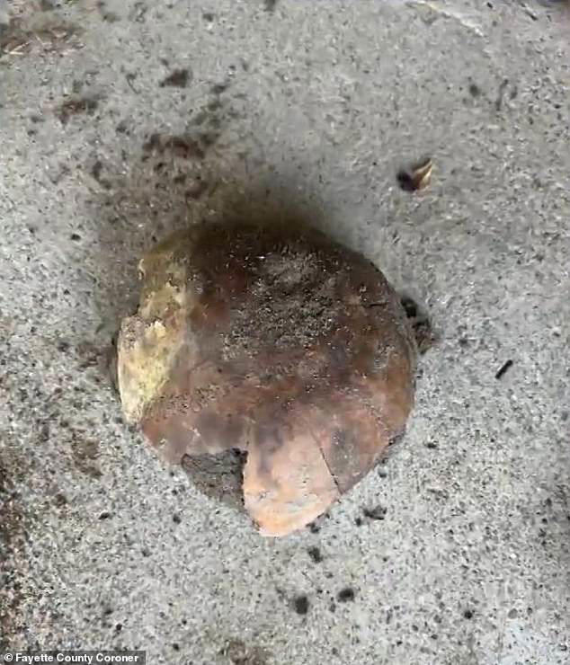 Stunning discovery as 4,000-year-old skull found along Indiana riverbank