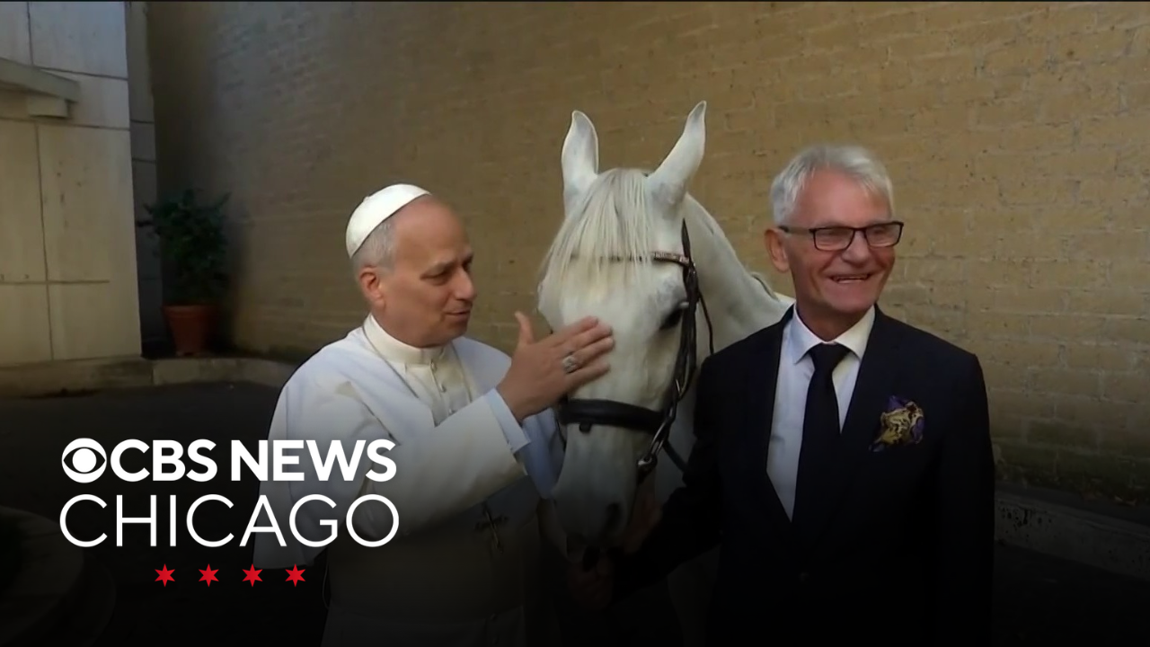 Pope Leo XIV gifted horse by Polish donor