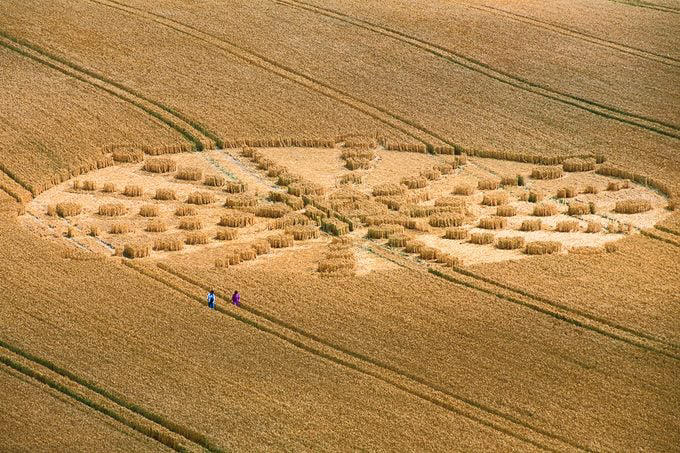 Why We See Crop Circles (And It Has Nothing to Do With Aliens)