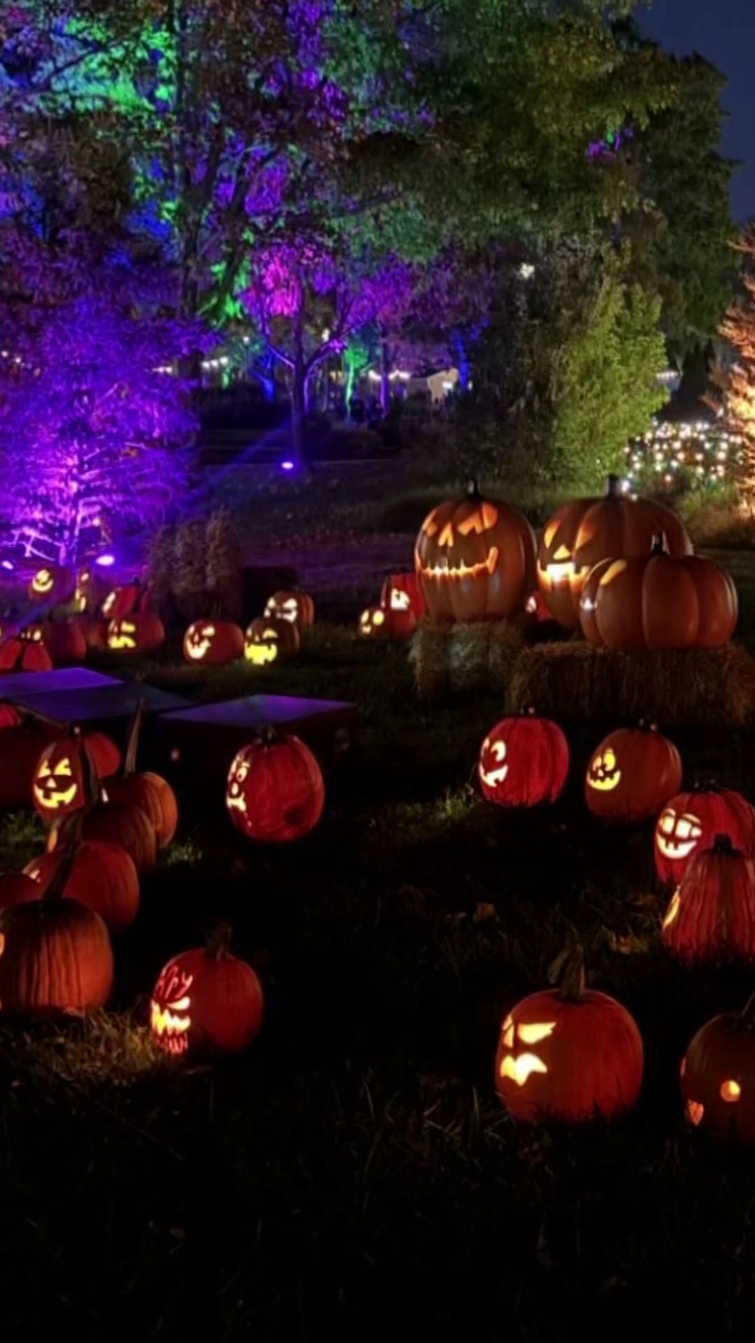 'Pumpkins Aglow' exhibit returns to Franklin Park Conservatory