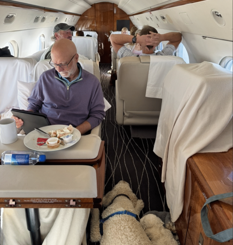 Specialty jets allow people with pets to ditch the cargo hold and ...