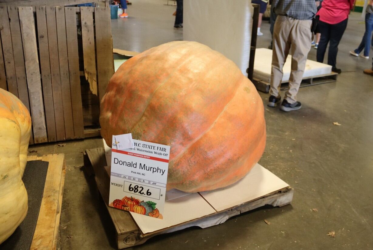 Pink Hill family wins NC pumpkin contest at State Fair