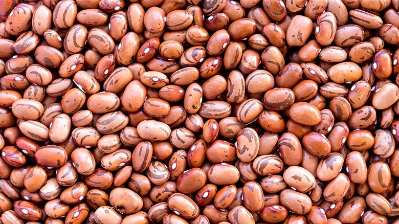 14 Tips You Need When Cooking With Pinto Beans