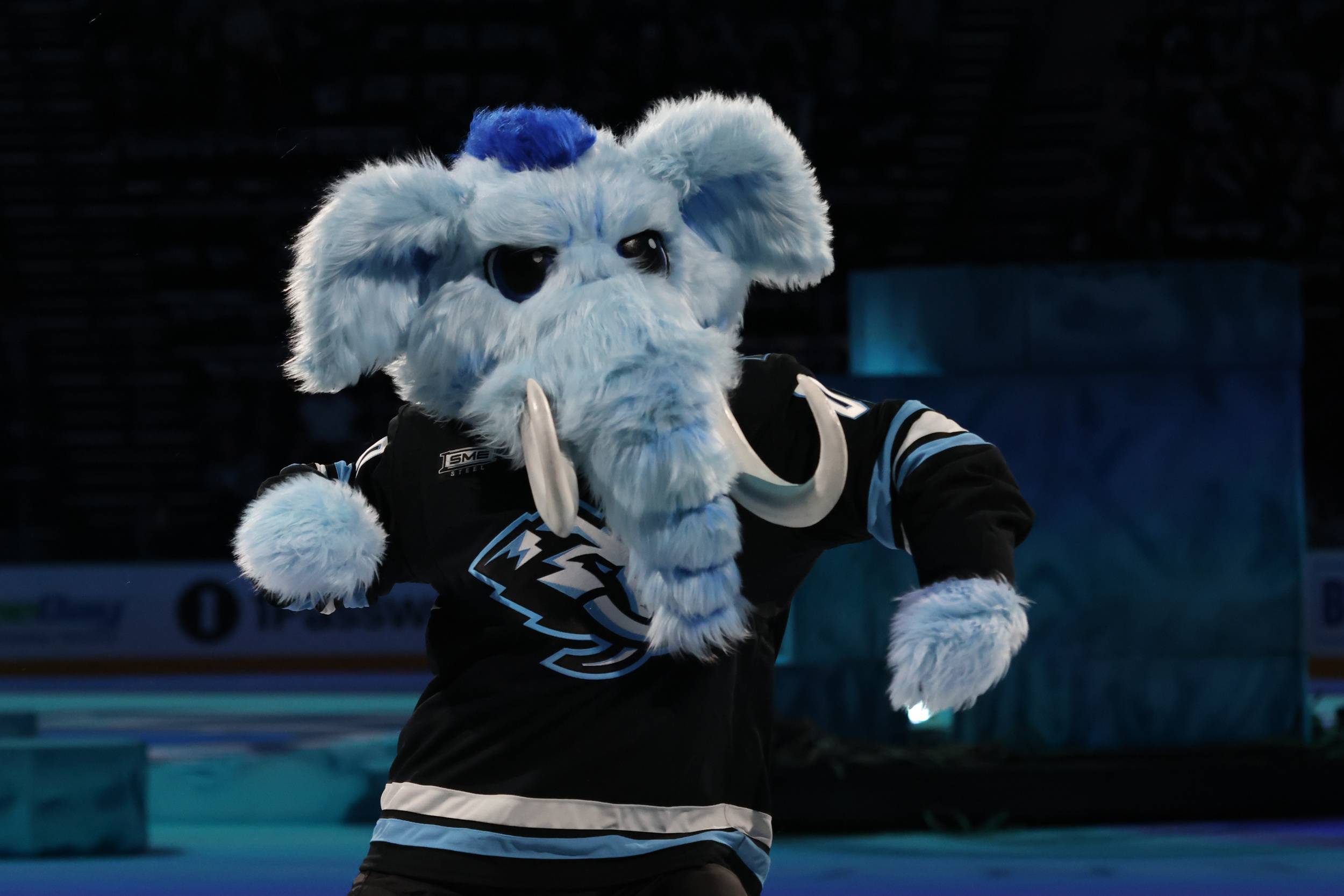 Mammoth reveal team’s new mascot Tusky