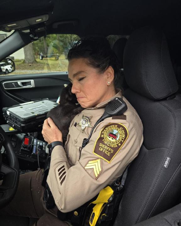 PHOTOS: Hanover sergeant rescues starving kitten from street