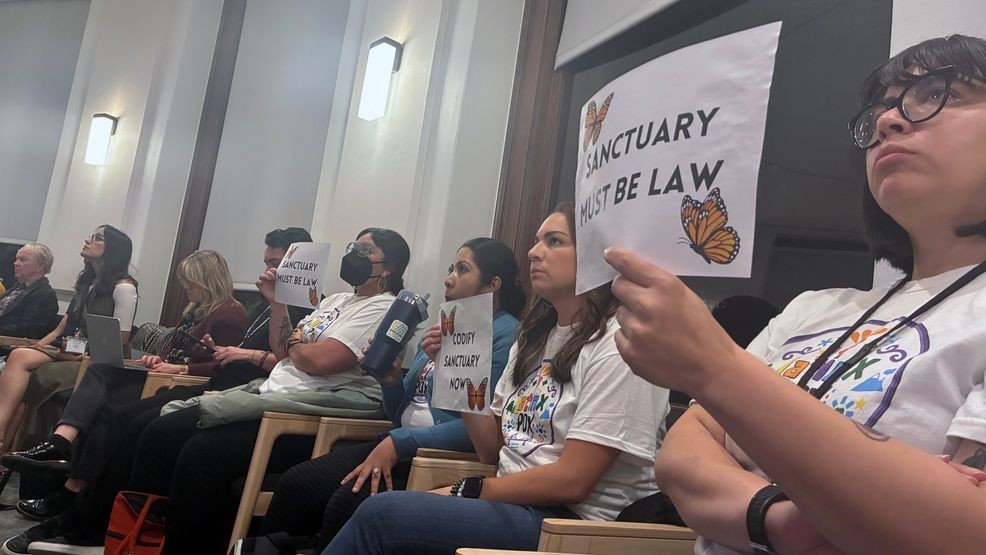 City Council passes 'Protect Portland Initiative' after hours of public ...