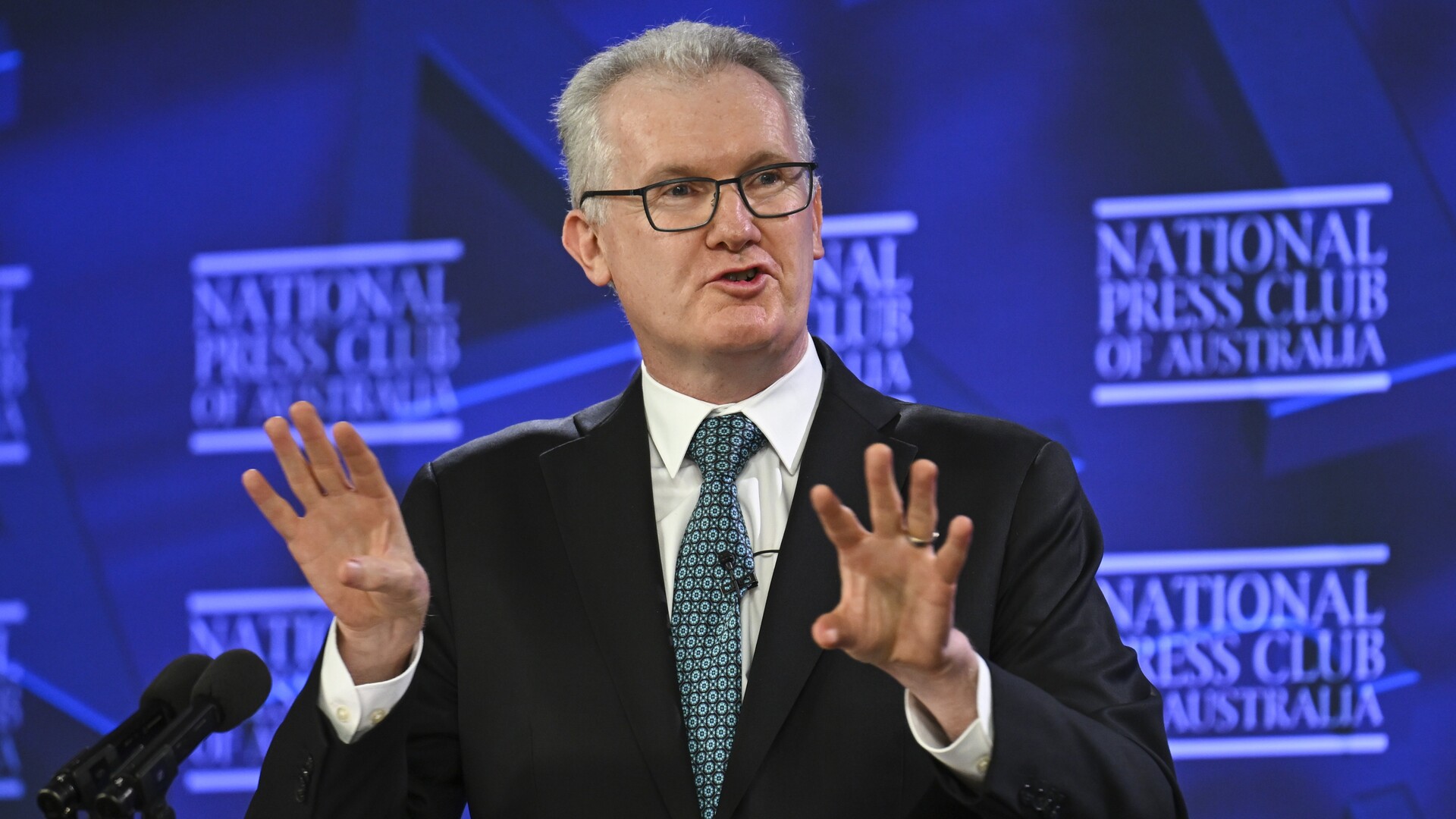 Tony Burke admits skilled migrants who cannot work in their profession ...