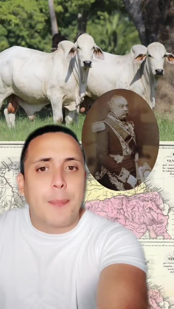 Cómo Páez nos salvó de quedarnos sin carne 🐮 @mivacadorada #venezuela