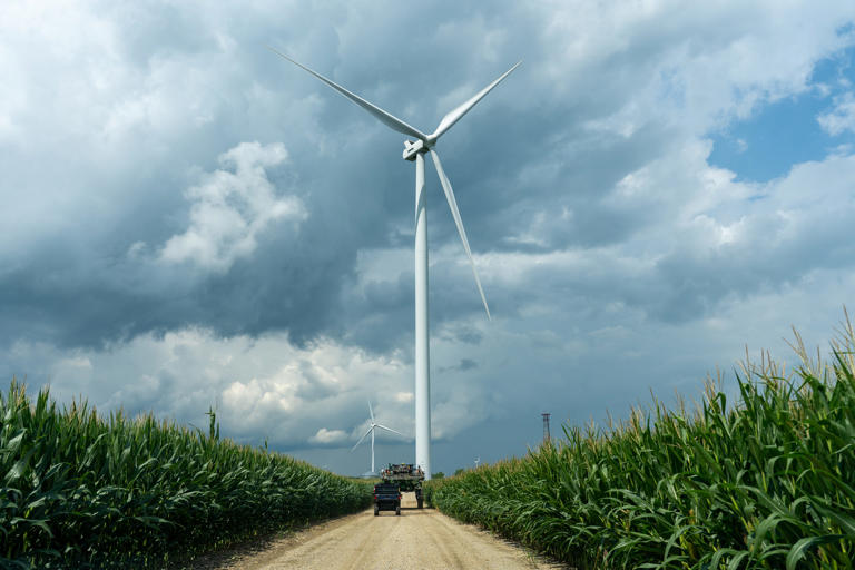 Wind and solar aren't politically popular, but they've been profitable ...