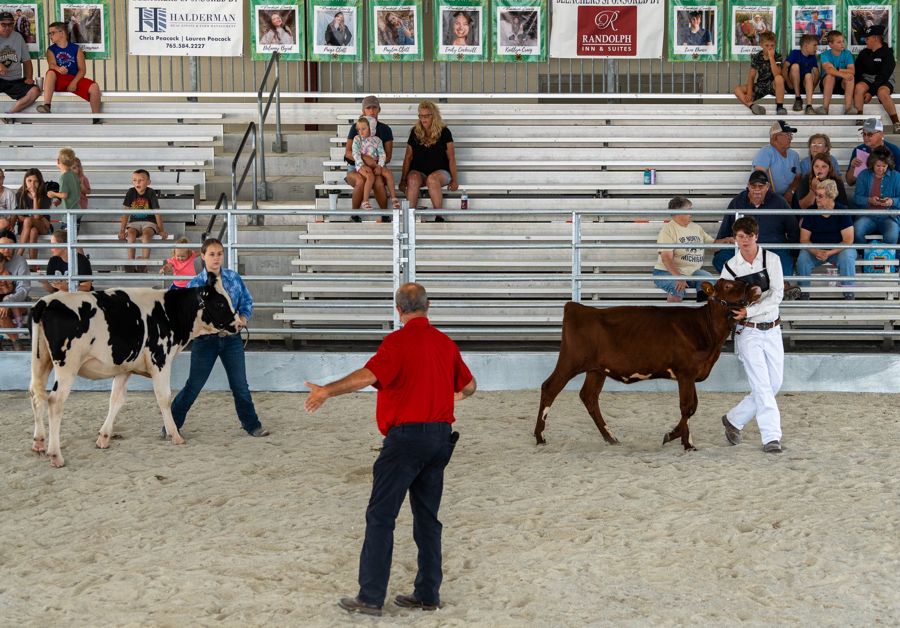Wind and solar aren't politically popular, but they've been profitable ...