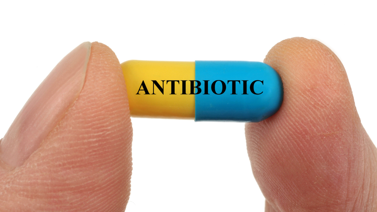 India’s New Antibiotic in 30 Years Offers Hope Against Antibacterial ...
