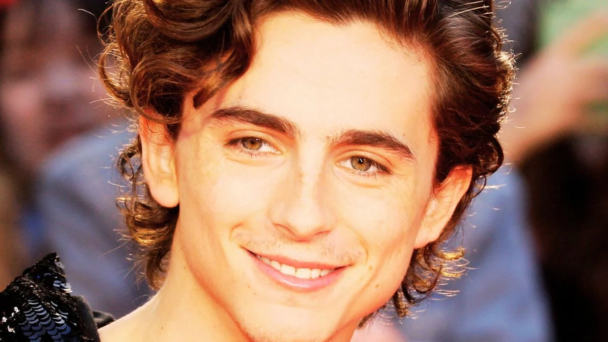 Timothée Chalamet breaks silence on rapper alter-ego rumors