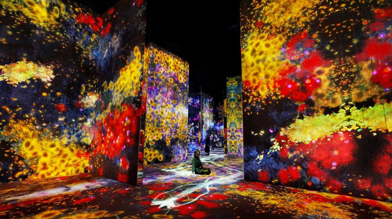 TeamLab Borderless Draws 1.55 Million With Immersive Art