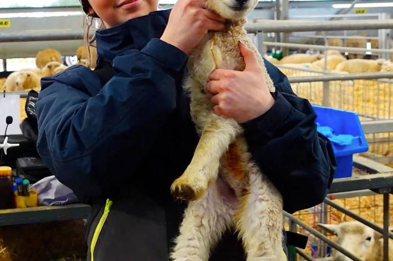 'We visited Adam Henson's answer to Clarkson's Farm and one thing ...