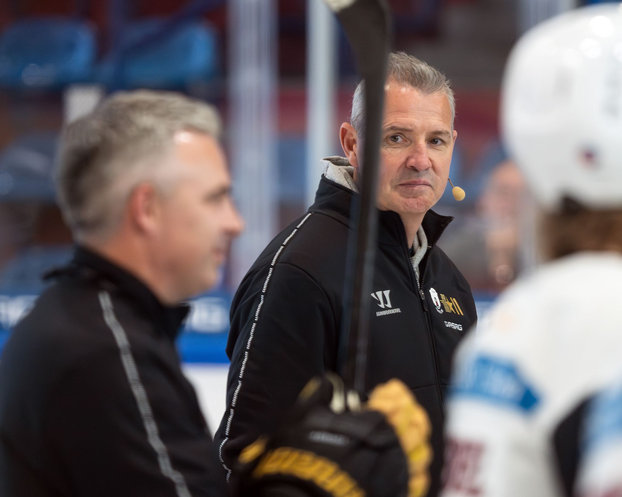 Trotz CHL-Aus: Eisbären-Coach Aubin ist «stolz» auf das Team