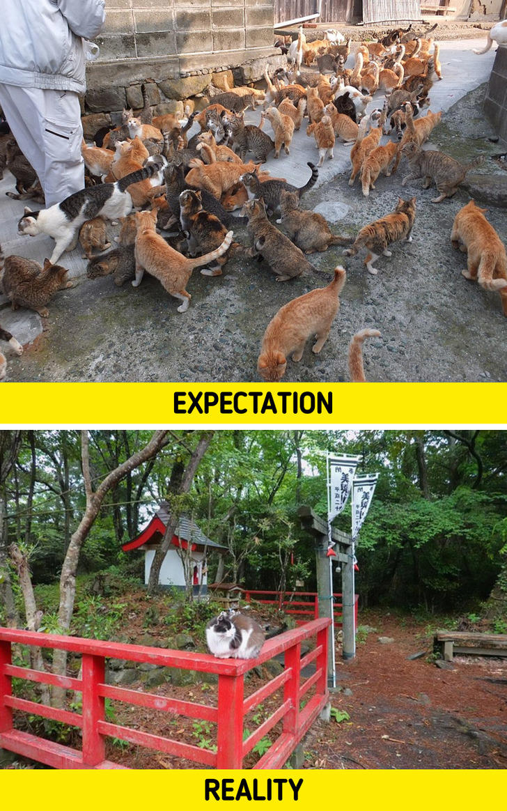 9 Famous Sights and the Surprising Reality Hiding Just Outside the Frame