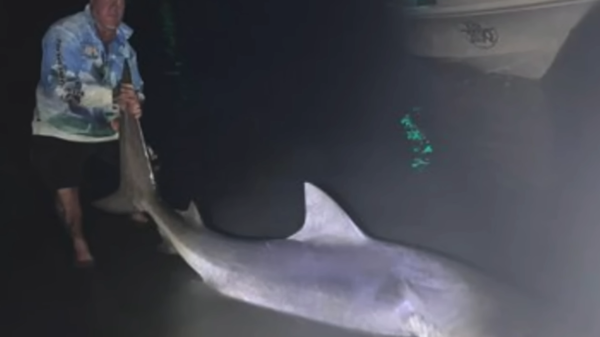 The bizarre story of the golf course bull sharks