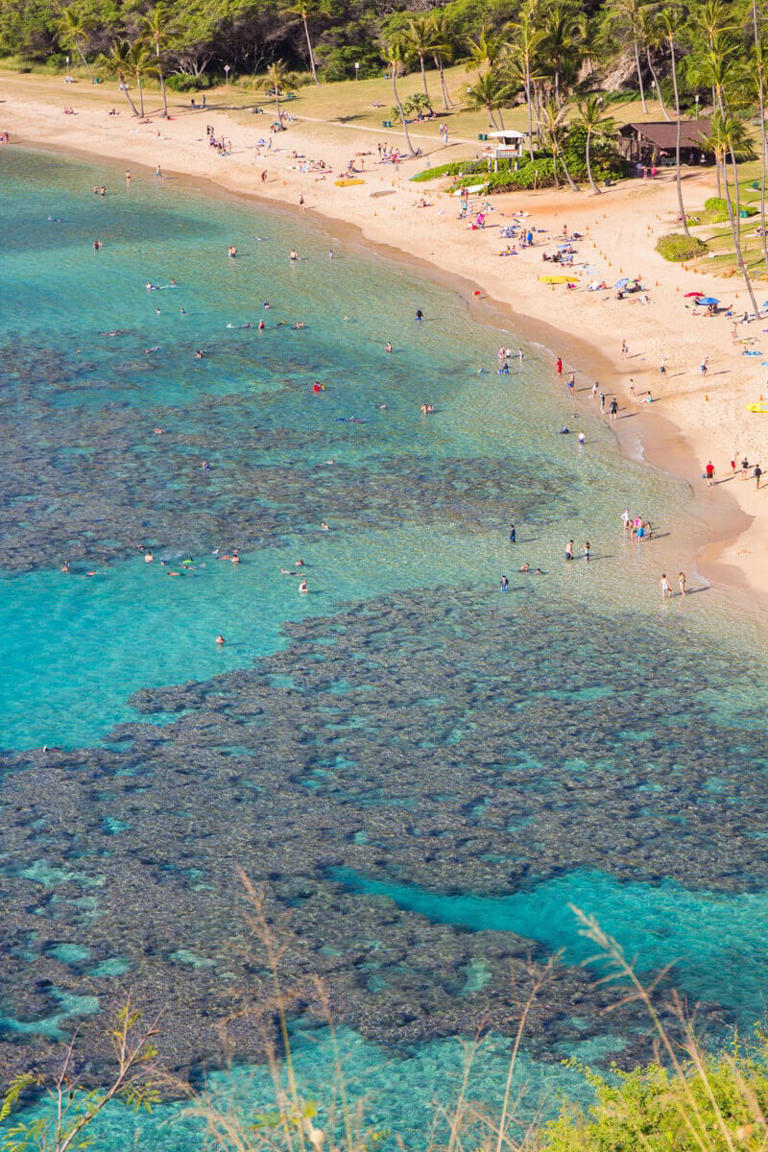 35 Unmissable Things to Do on O'ahu, Hawaii