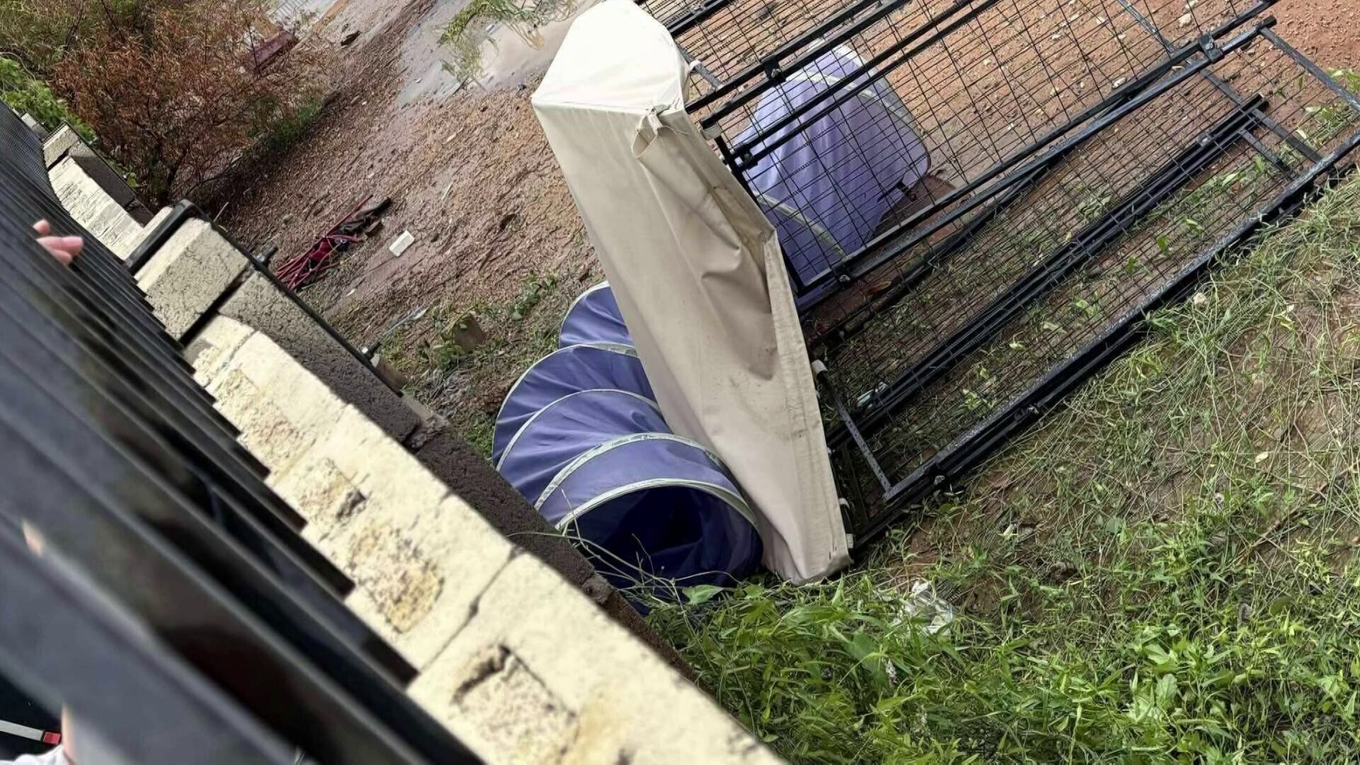 Tempe microburst devastates small dog rescue, forcing temporary closure