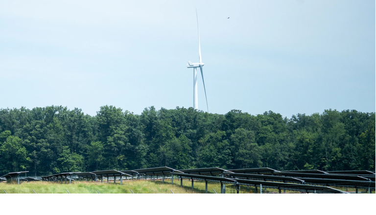 Wind and solar aren't politically popular, but they've been profitable ...