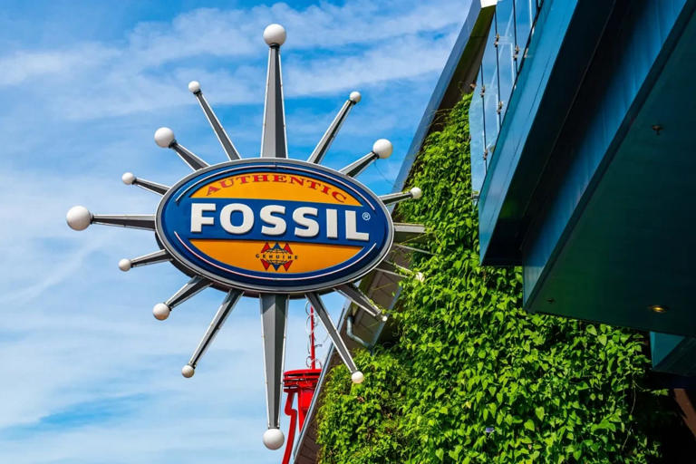 Fossil Group Stock Rises To Highest Since March 2023 After Report Of ...