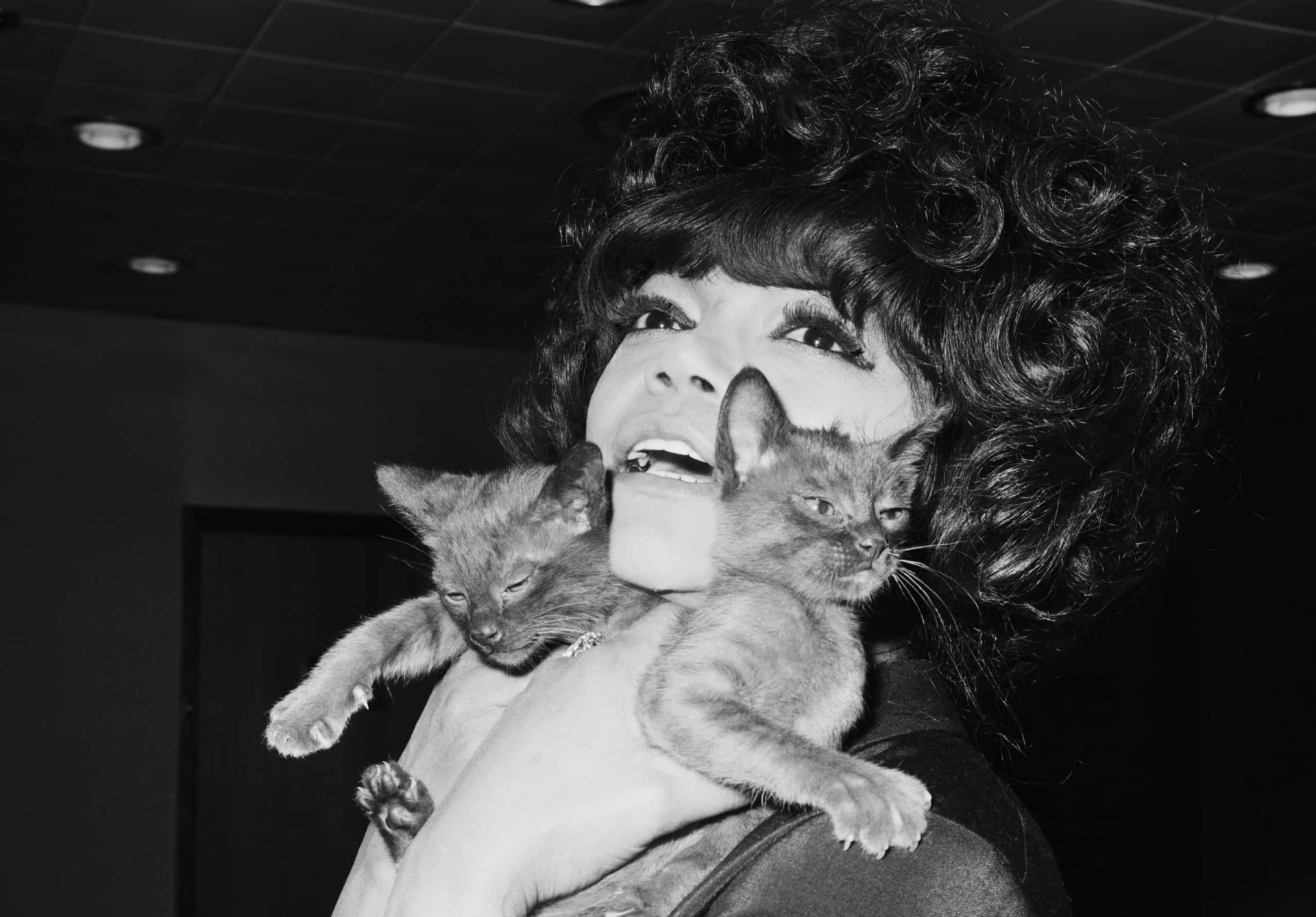 Rare vintage photos of celebrities with cats