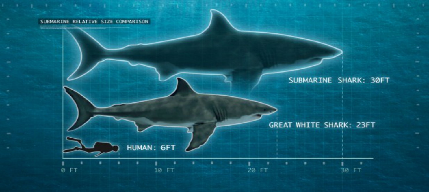 Submarine the shark - was this ocean legend actually real
