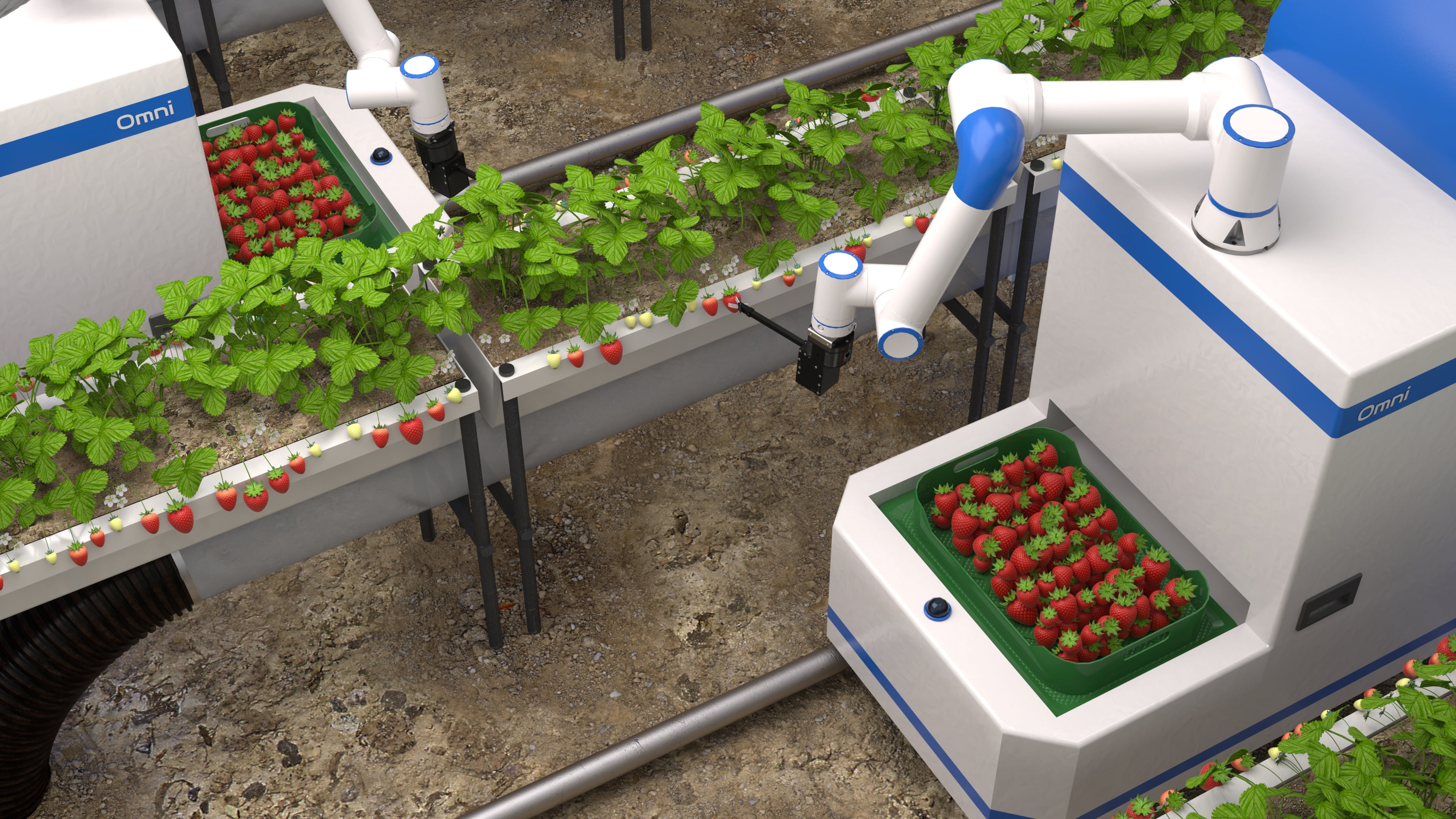 AI and Robots Automate Labor-Scarce Sectors