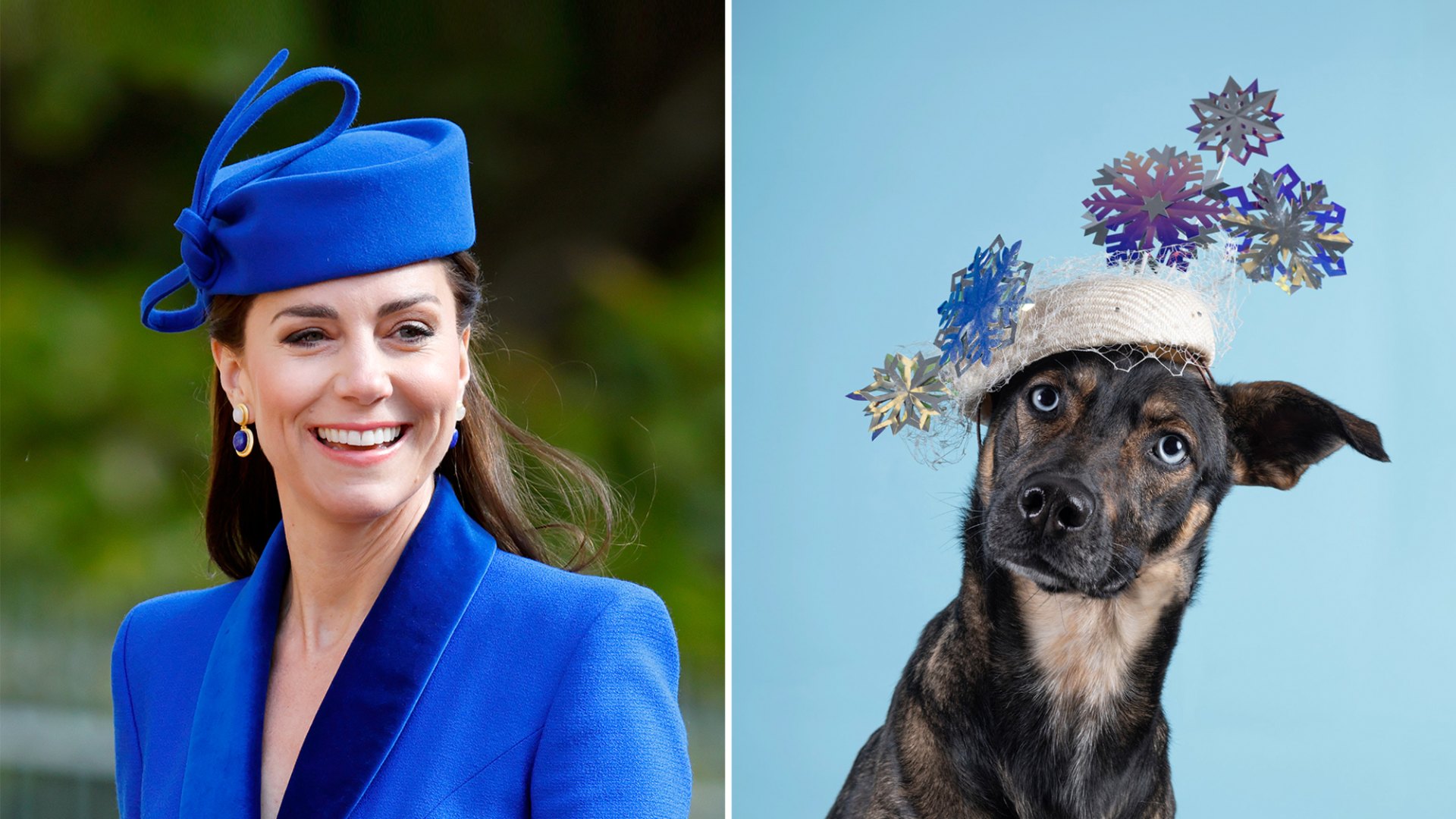 Kate Middleton Milliner Releases Calendar of Dogs in Hats to Help ...