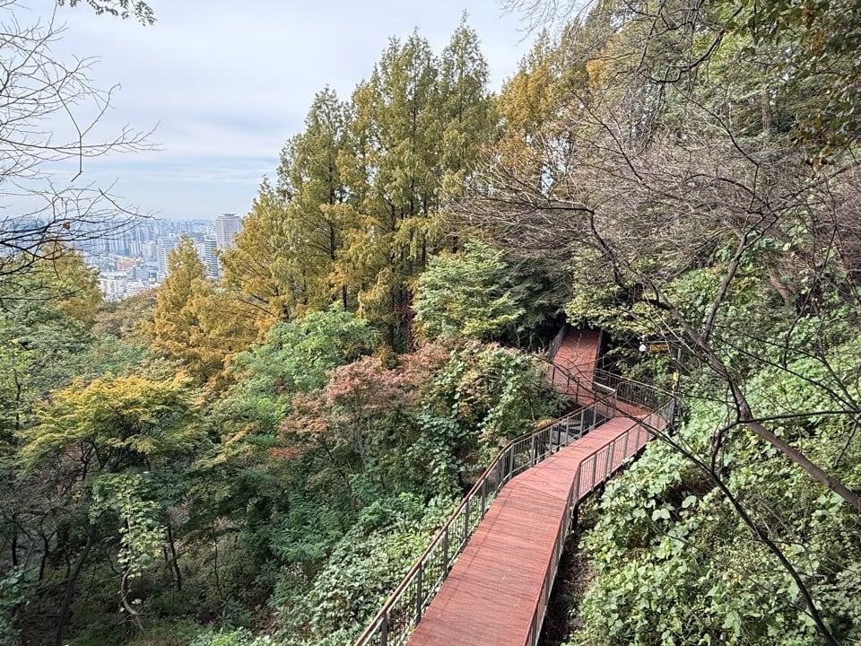 Seoul's 1.45-Km Sky Forest Path Opens, Barrier-Free