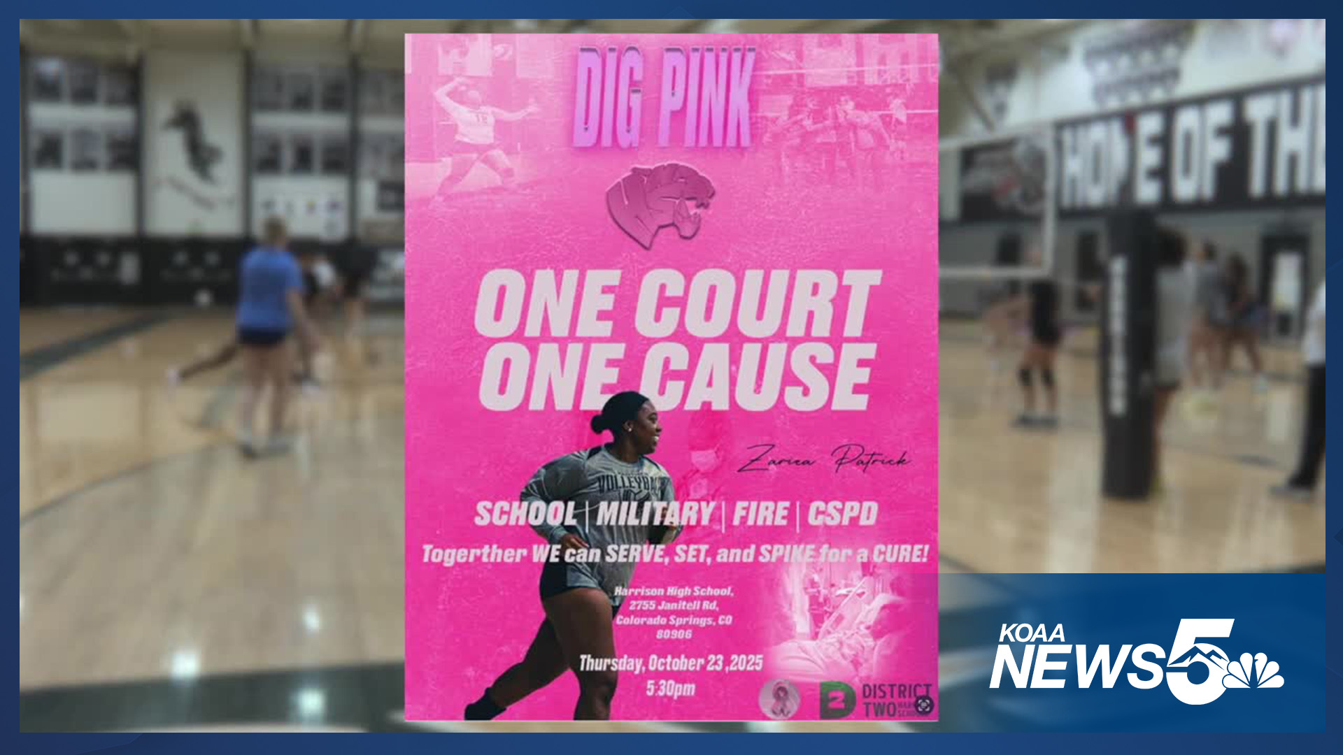 Harrison volleyball rallies for teammate with cancer, Dig Pink game ...