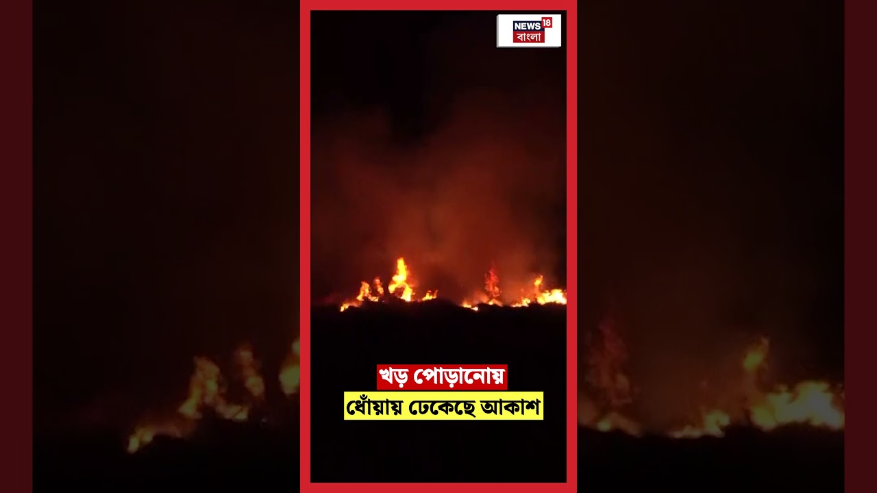 খড় পোড়ানোয় ধোঁয়ায় ঢেকেছে আকাশ | Amritsar’s Baba Bakala | N18S | # ...