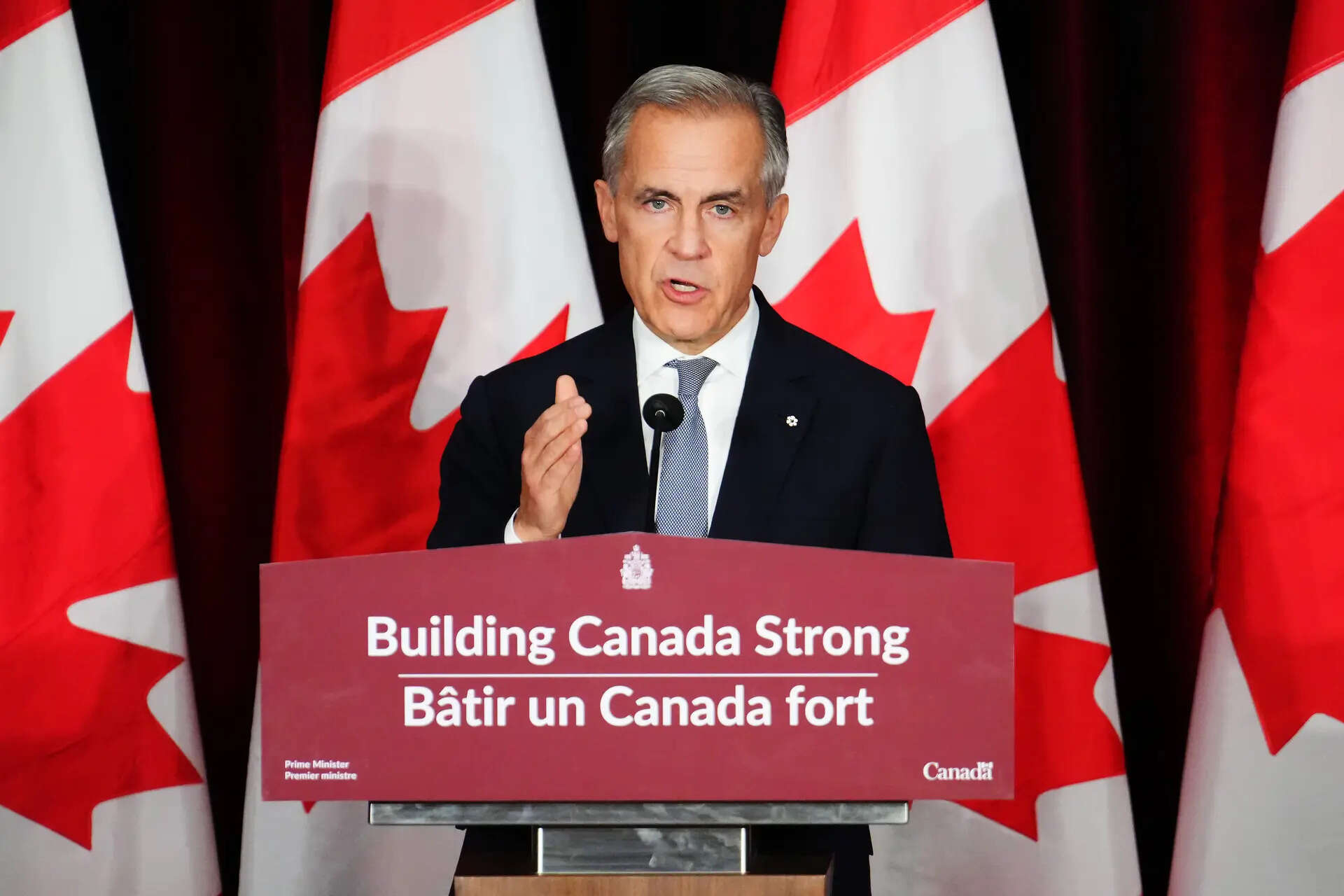 PM Carney says Canada will double its non-US exports as Canadians can't ...