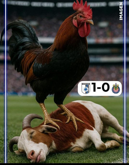 ¡Los memes no perdonan! Chivas pierde con Querétaro y las redes se ...