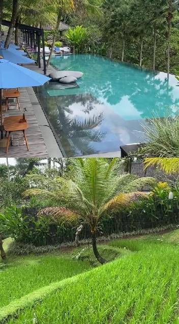 Unwind in Paradise: Jungle Fish Bali Experience