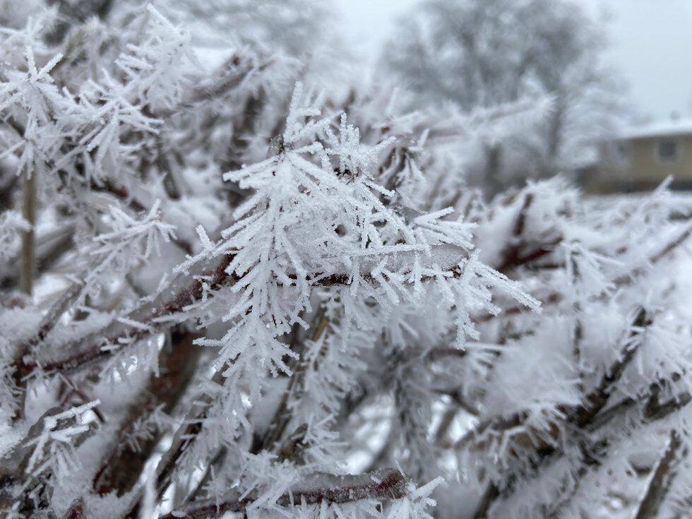 First widespread frost expected across Quad Cities area