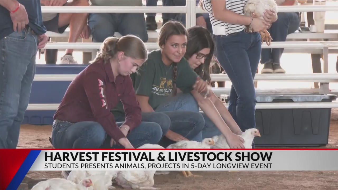Students display livestock talents at Harvest Festival in Longview
