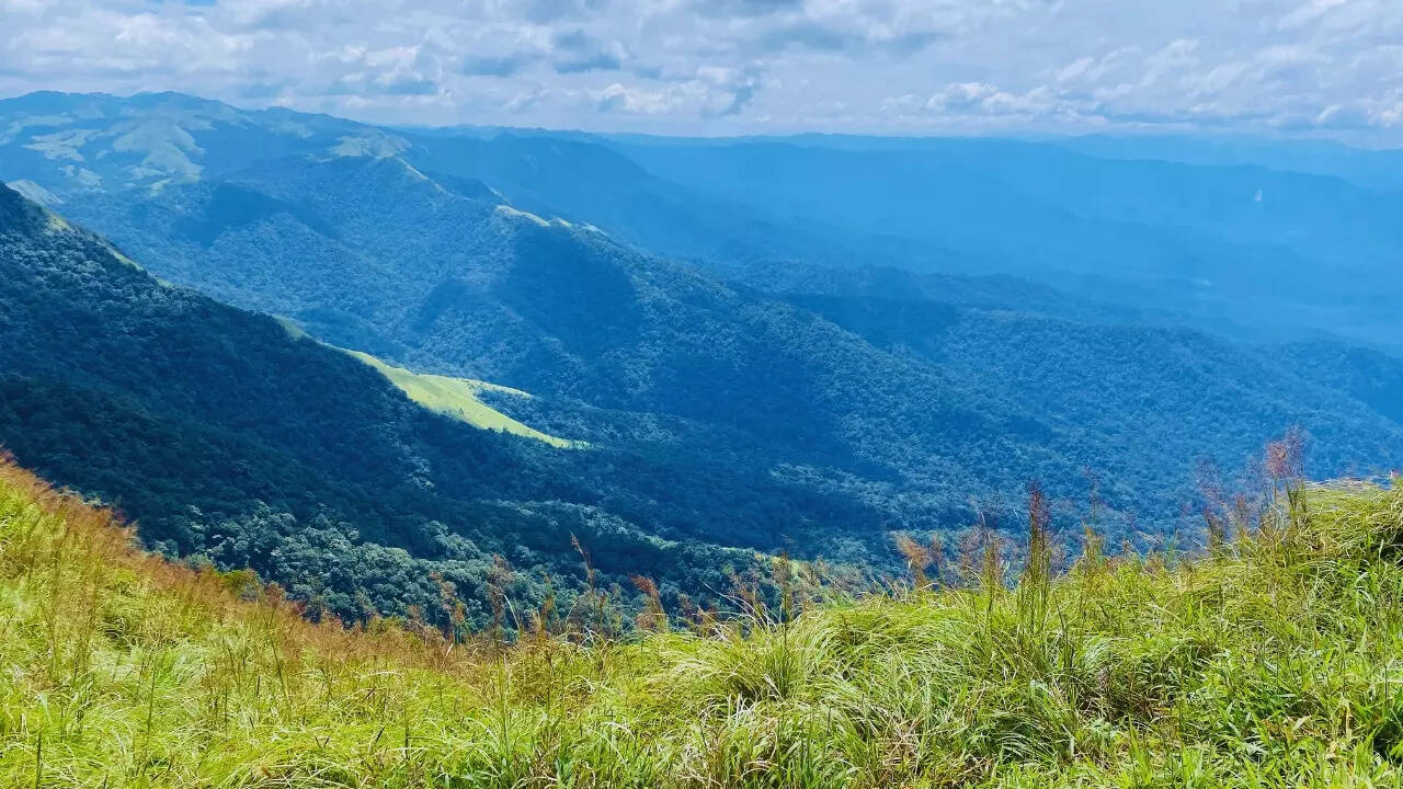 These natural UNESCO World Heritage Sites are at risk; two Indian sites ...
